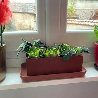 Yellow Terracotta Concrete Planter Box Minimalist Planter Pot Succulent ...