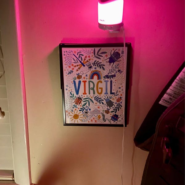 BUGS NAME A4-A3 PRINT- Beetle Name Art- Nursery Wall Art- Cool Name Art ...