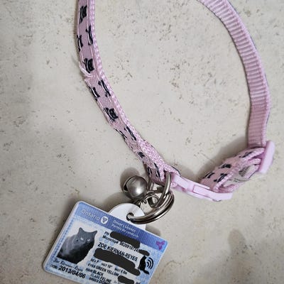 Texas Driver Dog Id Tag Personalized License, Durable Dog Tag, Double ...