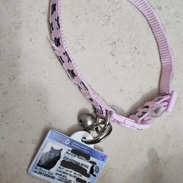 Texas Driver Dog Id Tag Personalized License, Durable Dog Tag, Double ...