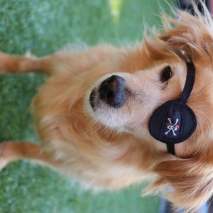 Custom Eye Patch for Dogs or Cats 100 % Cotton/ No Felt | Etsy
