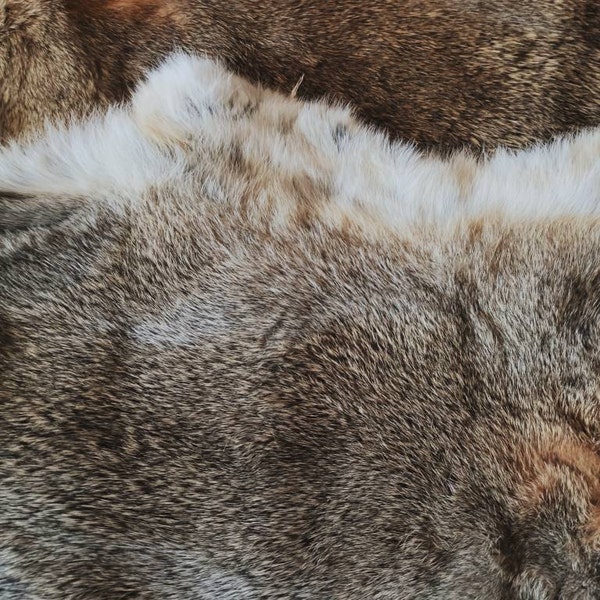 2x WILD MEADOW Rabbit Skin Fur Pelt Tanned for Animal Training, Dummy ...