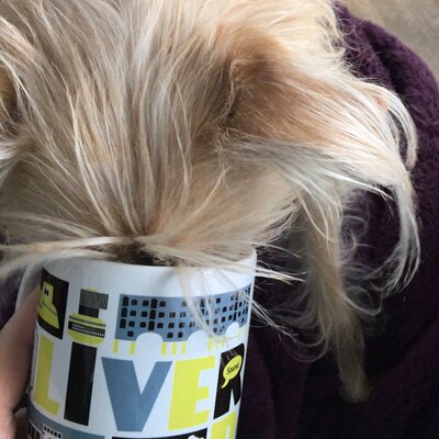 Bristol Print - Etsy