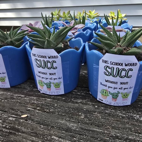 Succulent Plant Flower Teacher Thank You Tag, School Would SUCC Without ...