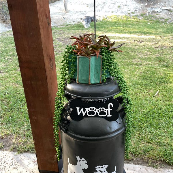 Do Not Disturb My Alone Time is for Your Safety. Wood, Hand Painted ...