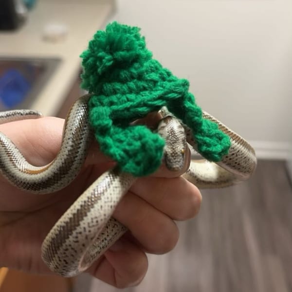 Snake Hat Pattern, Ball Python Hat, Crochet Snake Hat Pattern, Pom-pom ...
