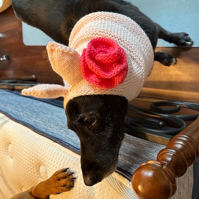 KNITTING PATTERN, Pit Bull Bunny Dog Hat, Dog Snood, Bunny Hat, Large ...