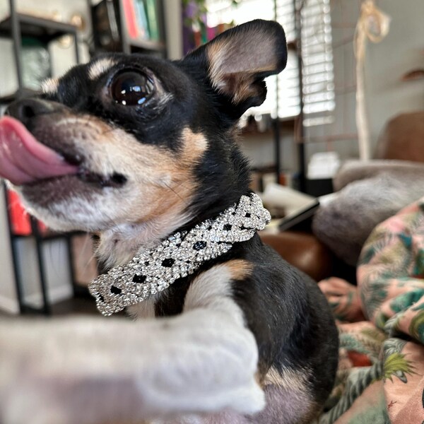 Rhinestone Braid Cat Collar: Fancy Bling Cat Collar; Fancy Breakaway ...