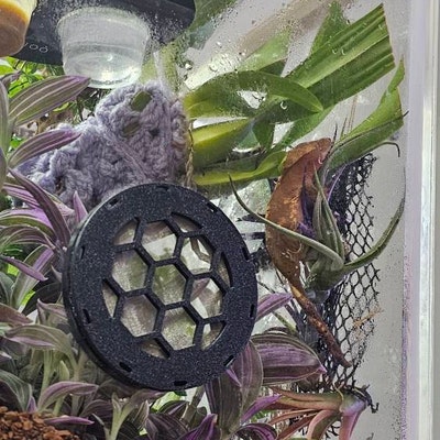 3 Pack Large Cross Ventilation Multi Pack Vents for Reptile ...