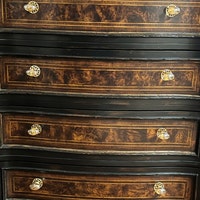 Small Shell Knobs Pulls Brass Gold Knobs Unique Dresser Knobs Pulls Gift Kitchen Pulls Knobs ...