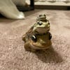 Handmade Polymer Clay Angry Screaming Black Desert Rain Frogs Figurine ...