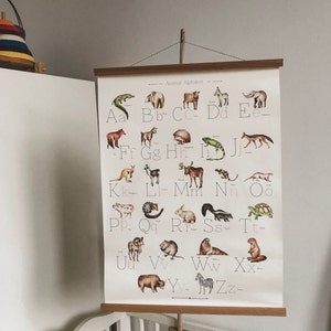 Animal Alphabet Poster - Etsy