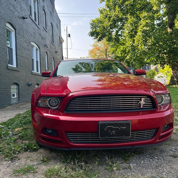 15" Ford Mustang Automotive Wall Art Curved Metal Dome Sign Mustang ...