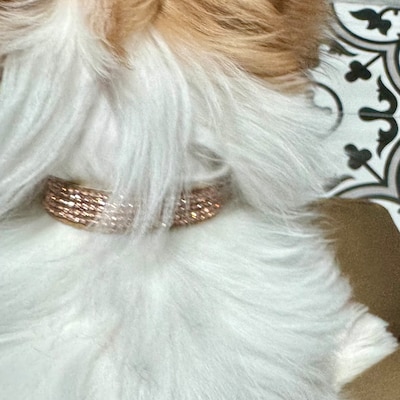 Pearls, Hearts & Real Rhinestone Collar, Luxury Thick Designer Girl Dog ...