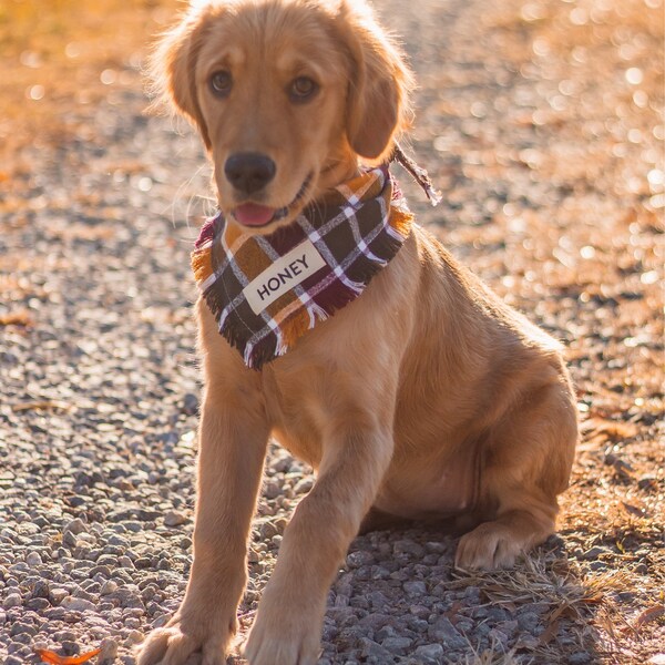 Dog Bandana • Autumn Dog Bandana • Personalized Dog Bandana • Fall Dog ...