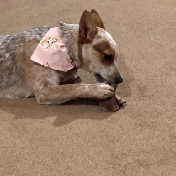 Guardian Subclass Decals Solar Arc Void Stasis Strand Prismatic Vinyl ...