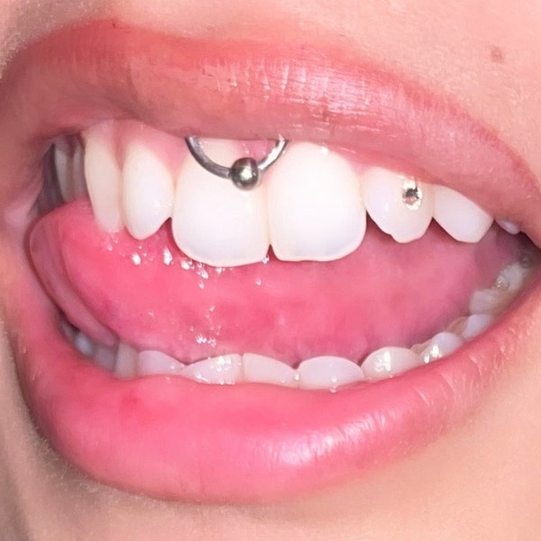 BCR Clicker 18G 16G 14G Silver Color Surgical Steel HINGED Segment Nose ...