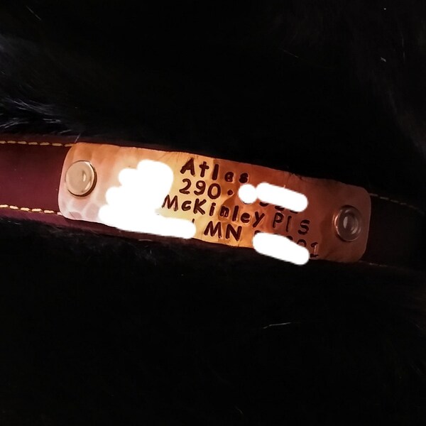 Personalized Bridle Name Tag for Horses | Custom Horse Halter Pet Tag ...