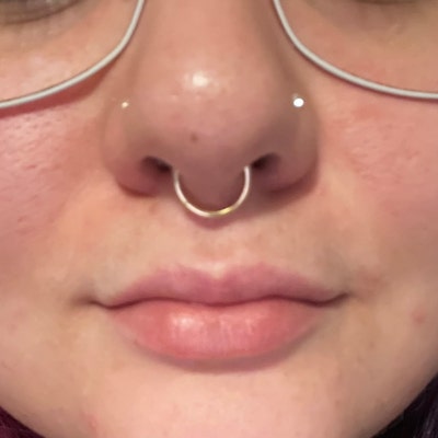 Large Septum Big Septum Ring Septum Ring 16g Seamless Nose Ring Endless ...