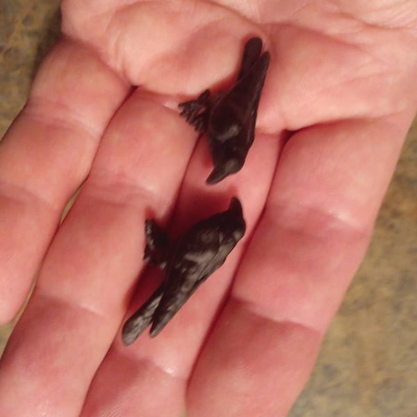 Miniature Raven - 1:12 Scale Mini Black Birds Sized for Horror Diorama ...