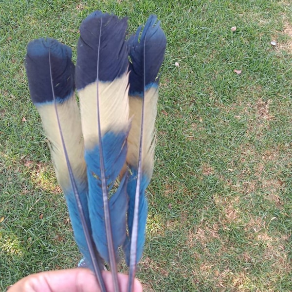 Quadruple Action Olugbohun (power Horn) - Etsy