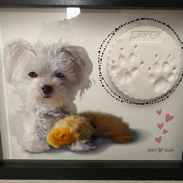 Pet Memorial Shadowbox: Paw Print Keepsake Shadow Box Frame With Dots ...