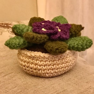African Violet Crochet Pattern - Etsy