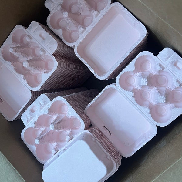 Pink Paper Pulp Chicken Egg Cartons (6 Eggs) - Etsy
