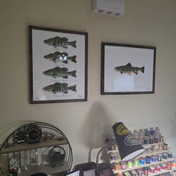 Mobile Basin Redeye Bass Slam - Etsy