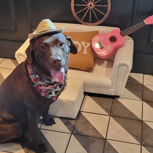 Rodeo Queen Beaded Fringe Cowboy Hat Red Stetson Hat Festival Hat ...
