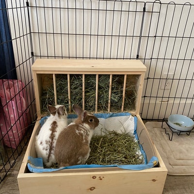 Large Hop Box: Rabbit Bunny Hay Feeder and Litter Pan Combo, Sifting ...