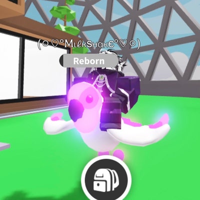 Crow MFR Mega Neon Fly Ride Animal Virtuel - Etsy