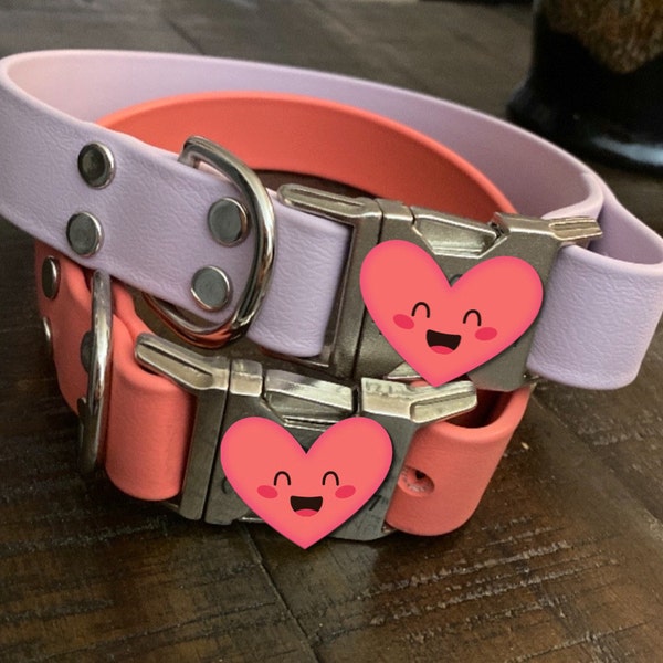 Waterproof Dog Collar W Engraved Zinc BUCKLE- Stinkproof, Dirt ...