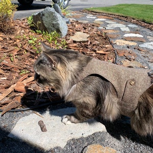 Classic Tweed Cat Walking Jacket dark Kazuki. | Etsy