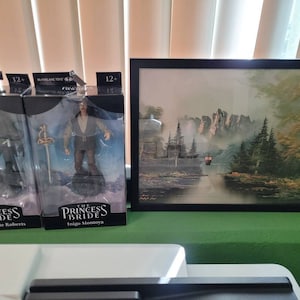 Cliffs of Insanity 11x17 Print Modified Thrift Store Art Princess Bride ...