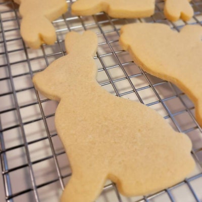 Peter Cottontail Rabbit Chocolate Bunny Cookie Cutter 5'' Metal Easter ...