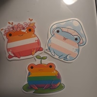 Pride Frog Charity Stickers LGBTQ Flag Frog Gay Pride - Etsy Canada