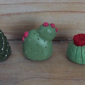 Miniature Cactus Set of 5 Collectible Thimbles Cactus Garden Decor ...