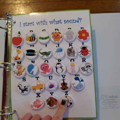 Printable Upper and Lowercase Letter Sorting Game - Etsy