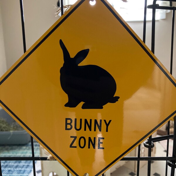 Rex Bunny Zone; Pet Rabbit Novelty Sign, Rex Bunny Sign, Rex Rabbit ...