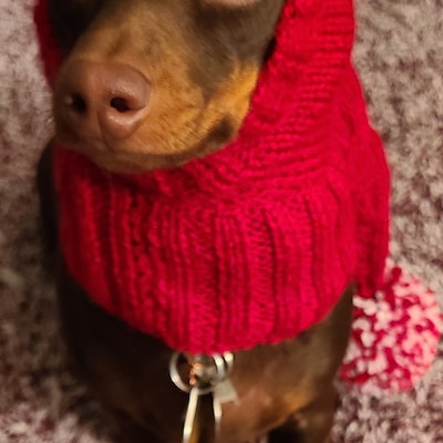 Personalized Dog Sweater With Initials Dog Clothes With - Etsy