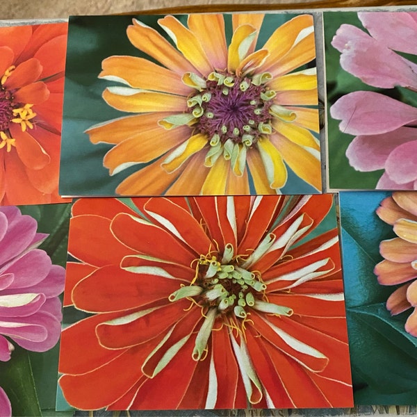 Note Cards, Boxed Note Cards, Fall Note Cards, Pumpkins, Happy Autumn ...