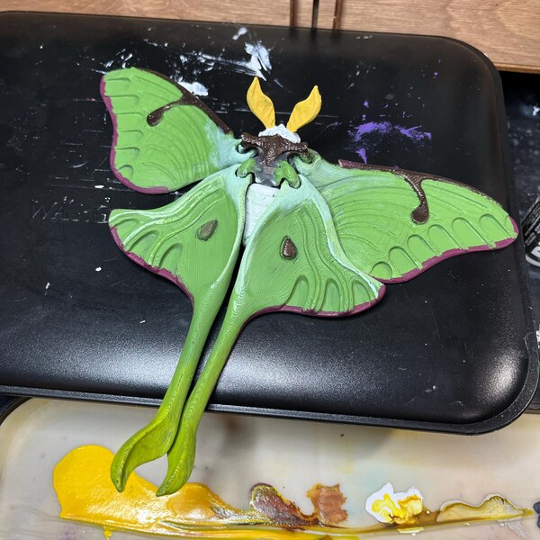 Cronian Dragon 3d Printed, Articulated, FDM, Iguana - Etsy