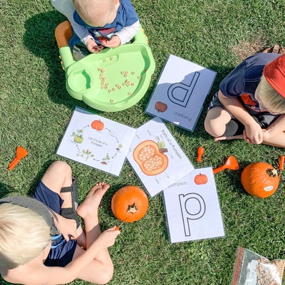 Pumpkin Mini Unit Study - Etsy