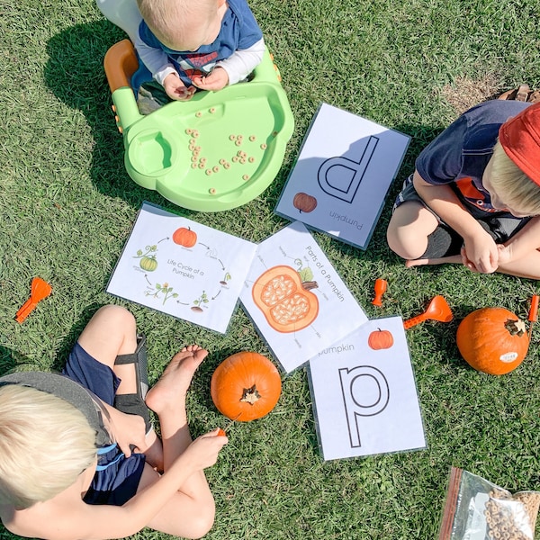 Pumpkin Mini Unit Study - Etsy