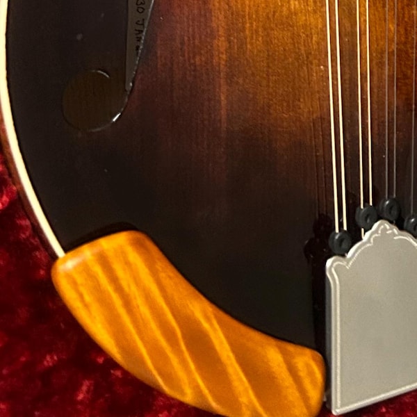 Premium Instrument Case Stand for Guitar, Violin, Mandolin, Banjo ...