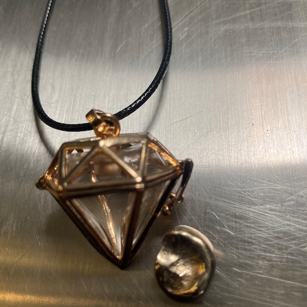 Heart Filigree Locket Ash Cremation Tooth Hair Fur Cage Urn Memorial ...