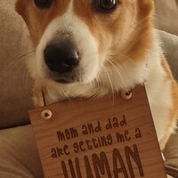 Baby Sleeping Sign, Nursery Knock Softly, Infant Sign, Child's Room ...