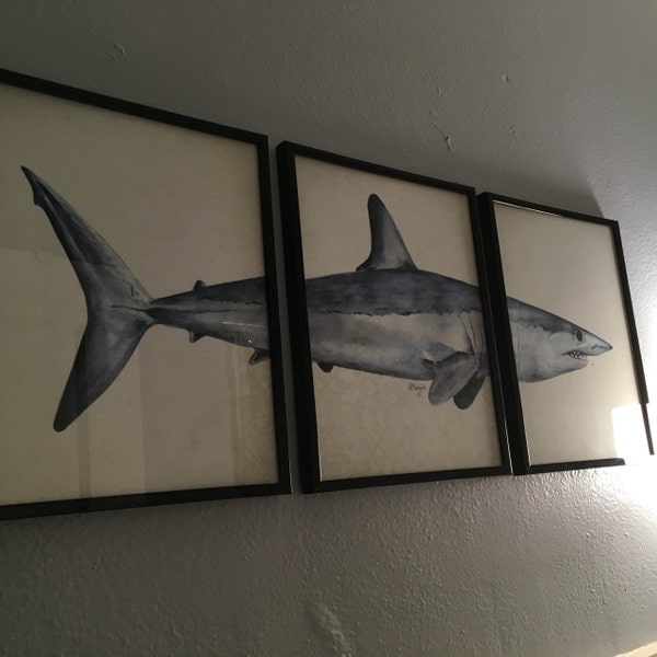 Mako Shark Watercolor Art Poster Set of 3 - Shark Art Print - Mako ...