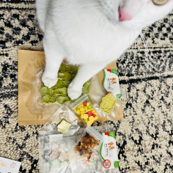 Organic Cat Grass Fish Bones | Meat Based |picky Easter & Softie | 18ct ...